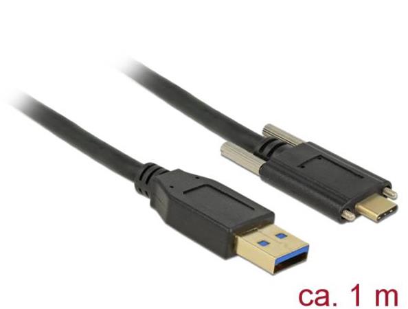 Delock Kabel SuperSpeed USB 10 Gbps (USB 3.1 Gen 2) Type-A samec > USB ...