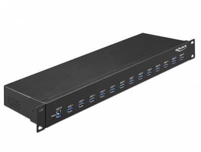 Delock Průmyslový rozbočovač 13 x USB 3.1 Gen 1 Typ-A, rozměr 19” | Discomp - networking solutions